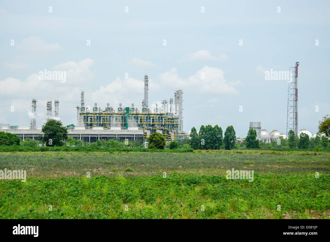 oil refinery plant for petroleum industrial Stock Photo - Alamy