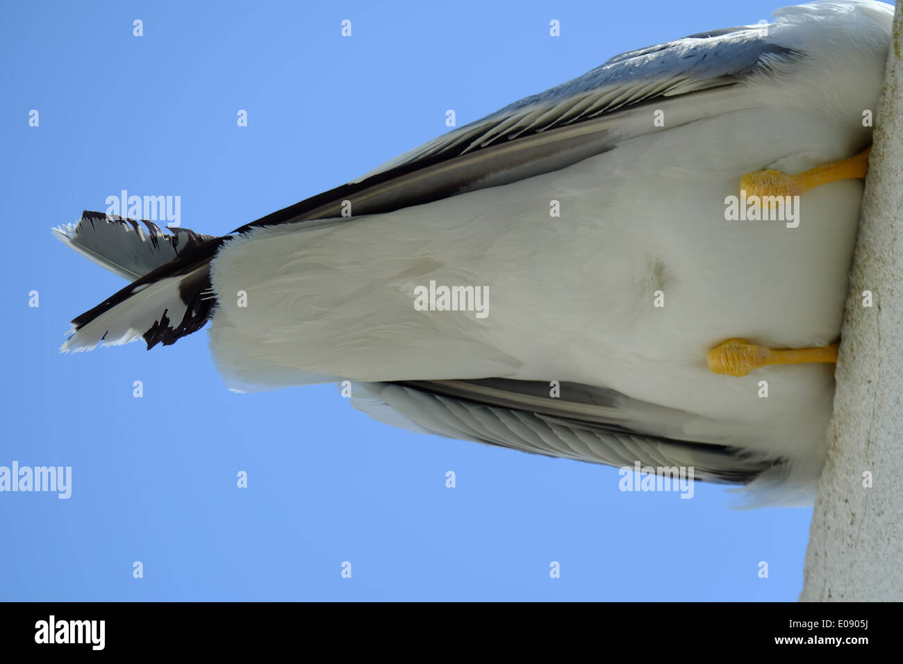 Feet hanging over edge hi-res stock photography and images - Alamy