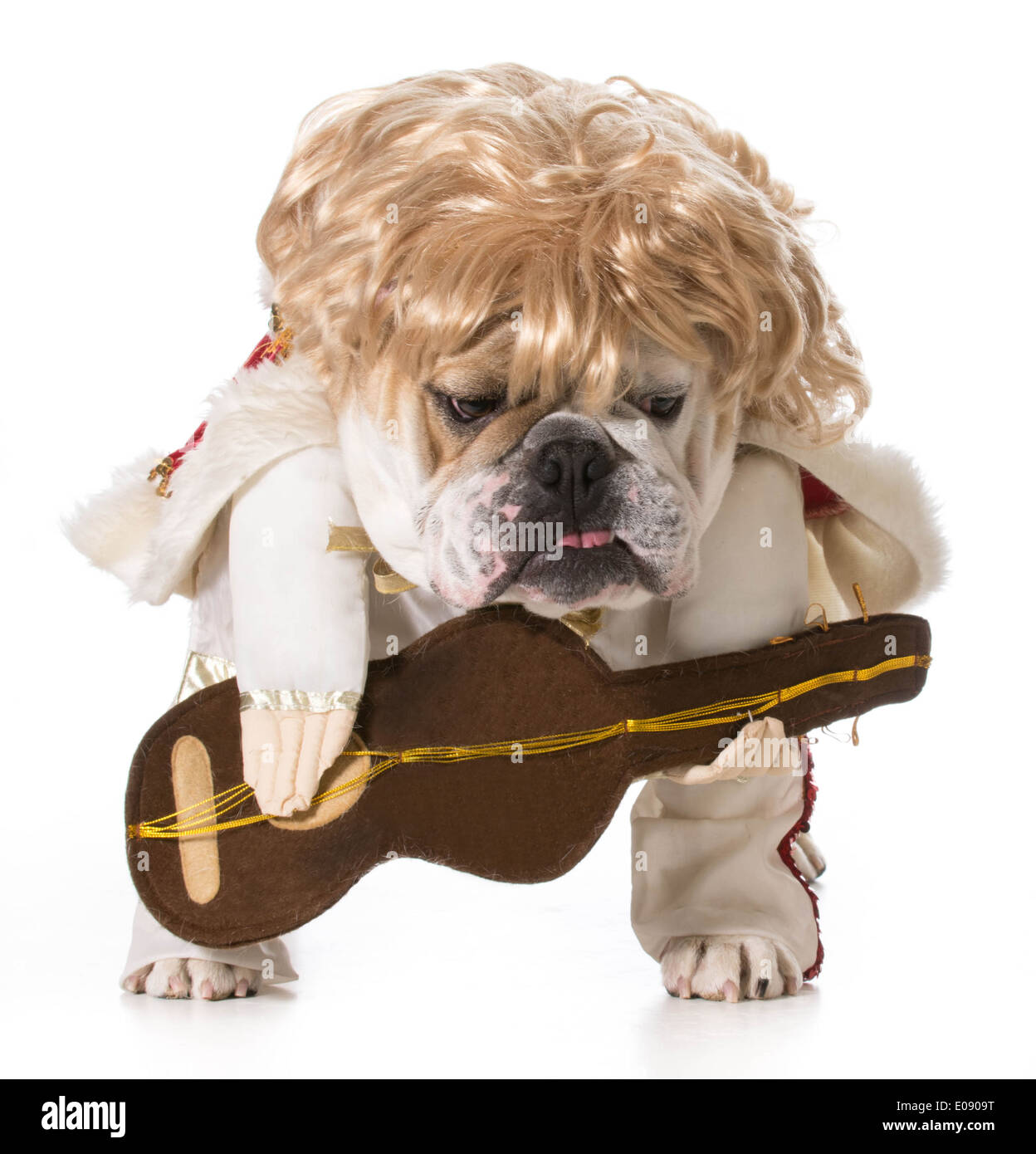 English pop rock Cut Out Stock Images & Pictures - Alamy