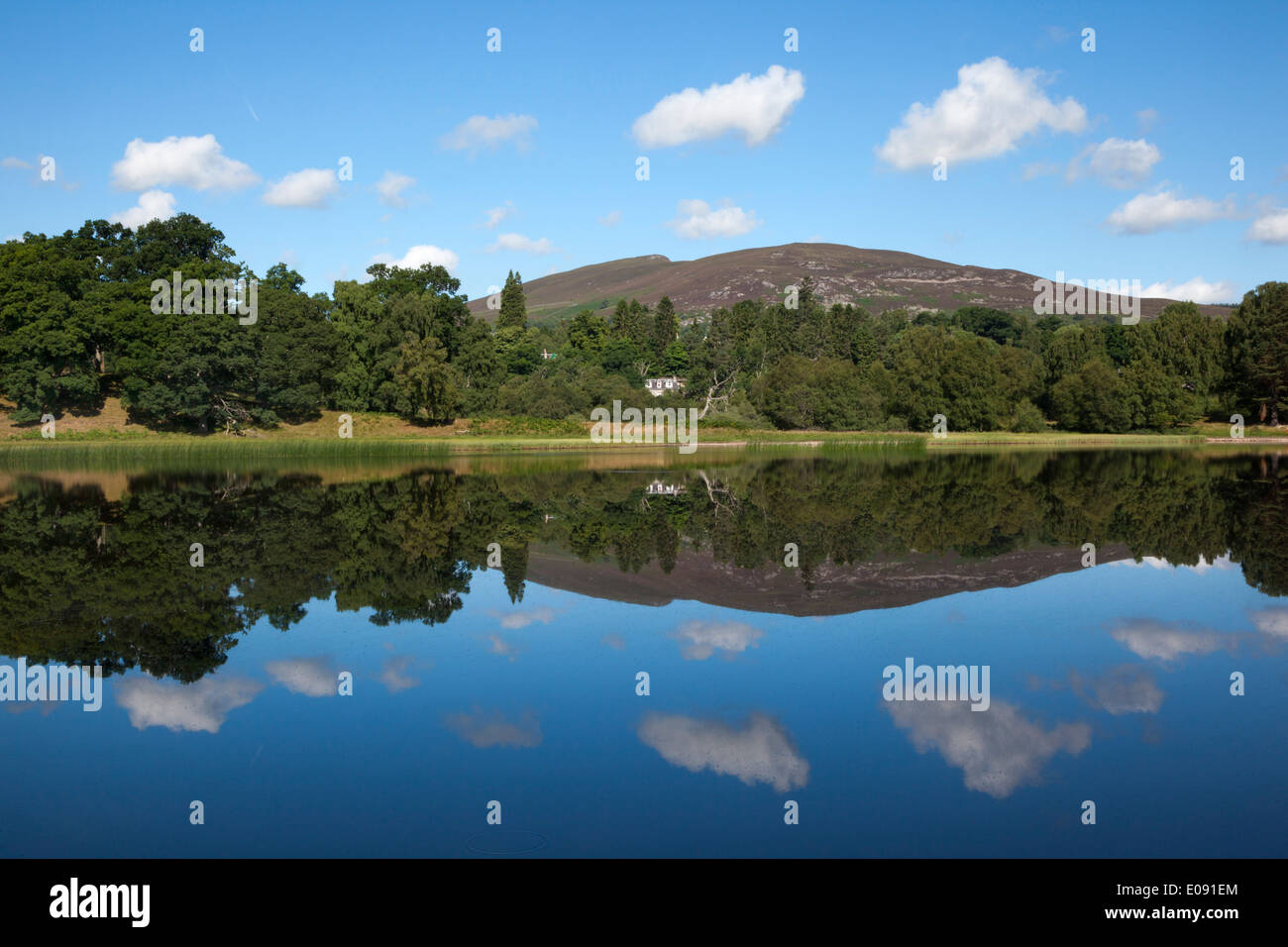 Summer Reflections On Loch Insh High Resolution Stock Photography and ...