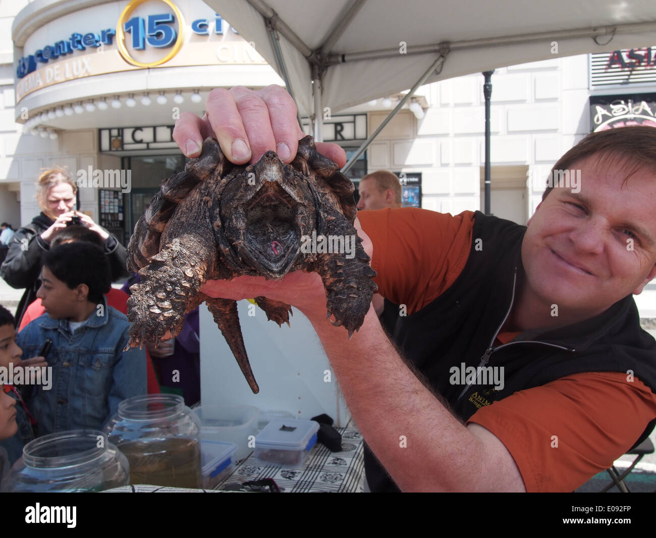 American snapping turtle hi-res stock photography and images - Alamy