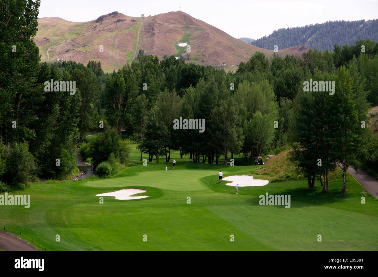 Sun Valley Golf Course, three players approaching the green Stock Photo ...
