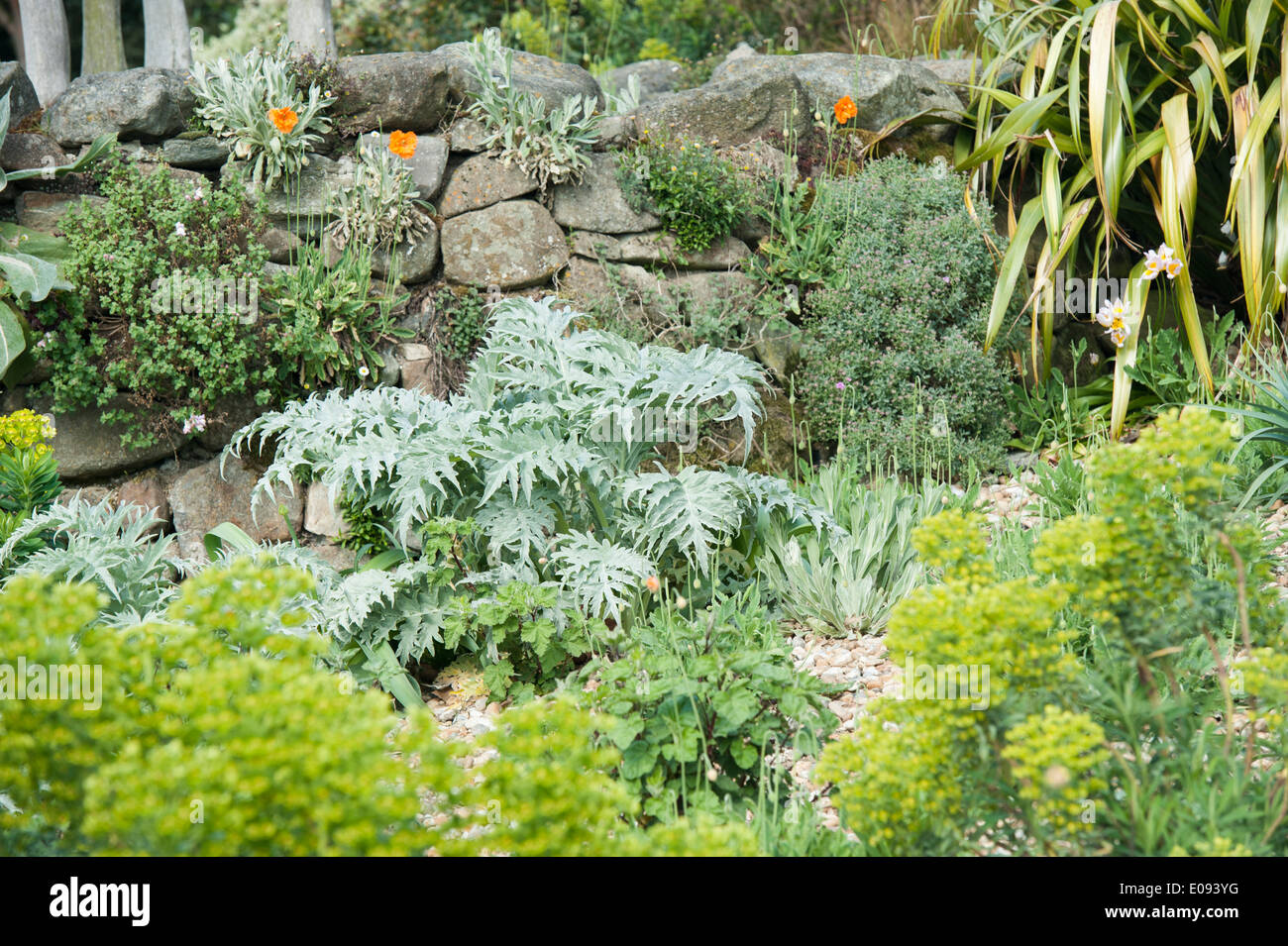 Garden rock wall hi-res stock photography and images - Alamy