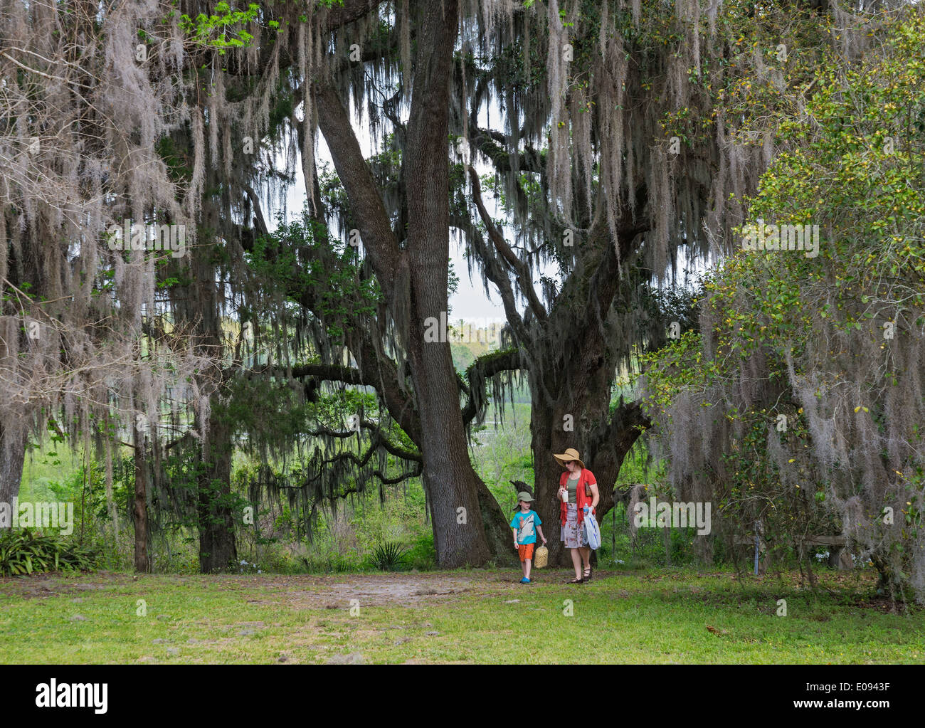 People stroll spring festival hi-res stock photography and images - Alamy