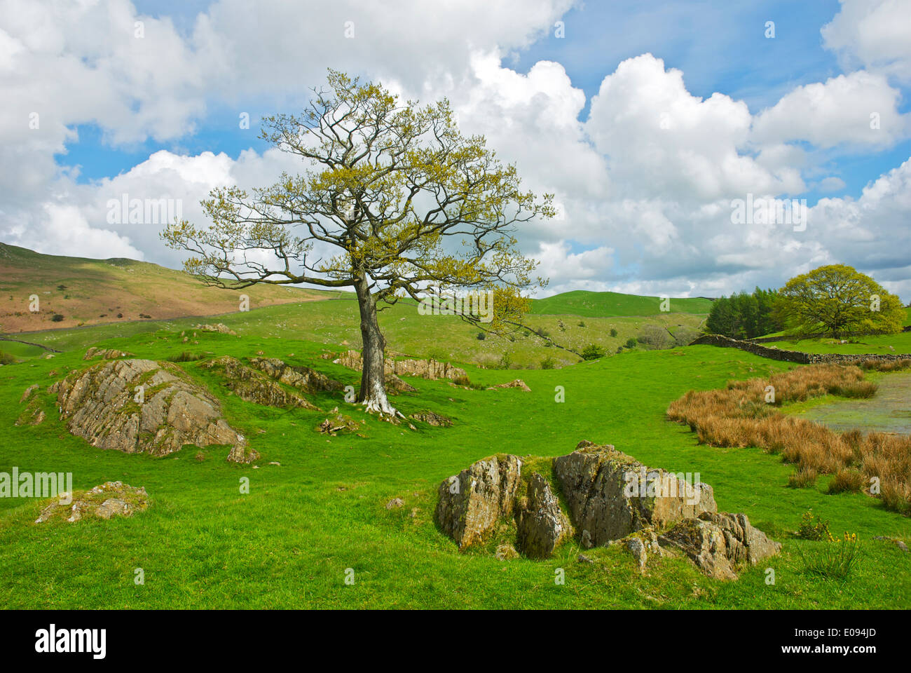Kentmere, Lake District National Park, Cumbria, England UK Stock Photo ...