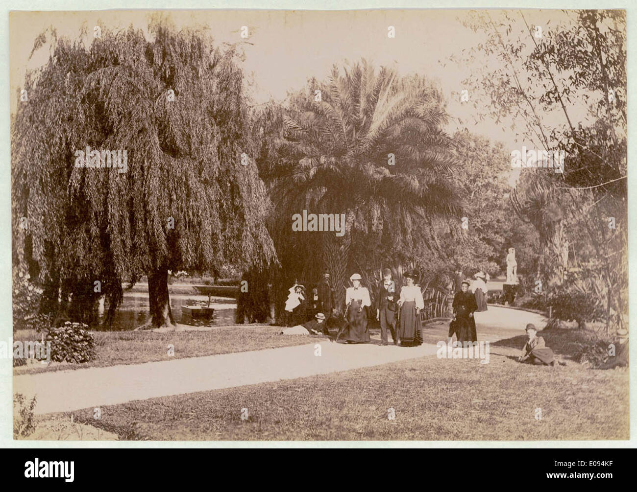 This image of the Botanical Gardens in Sydney, taken between 1900 and ...