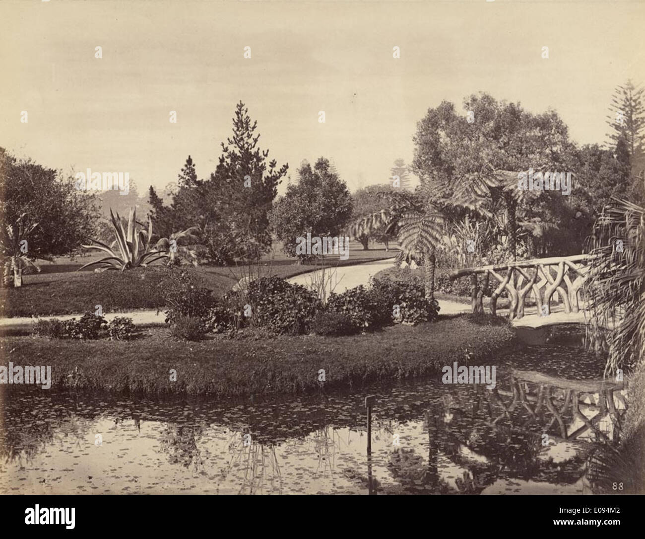 This historical photograph shows the Botanical Gardens in Sydney ...