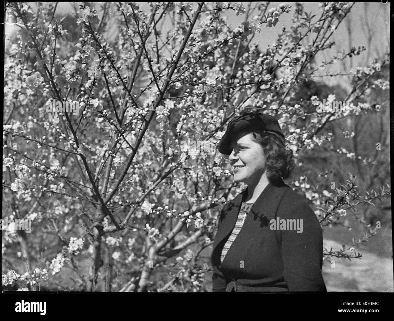 This image by Sam Hood captures a serene view of the Botanic Gardens in ...