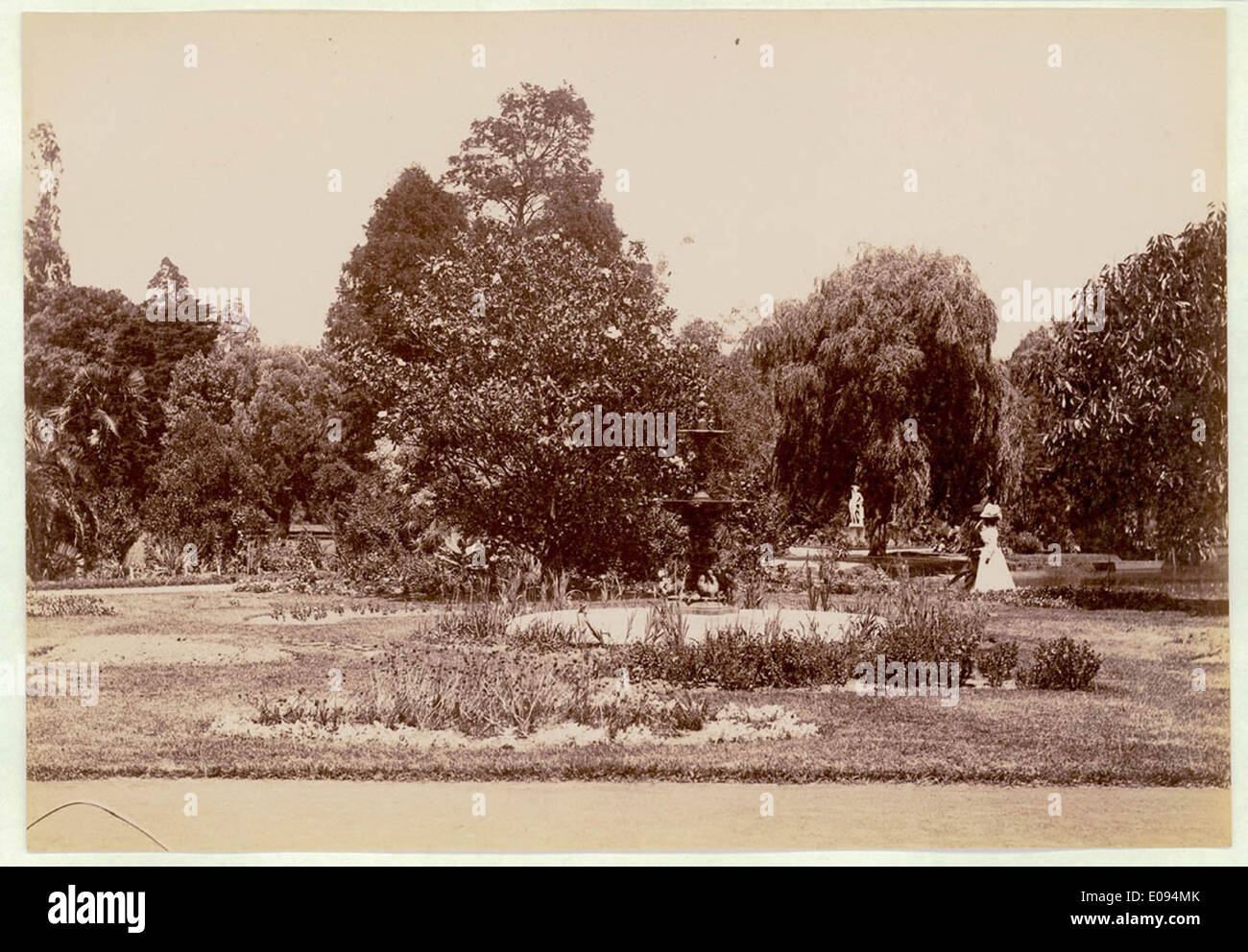 Botanical gardens 1900 1910 hi-res stock photography and images - Alamy