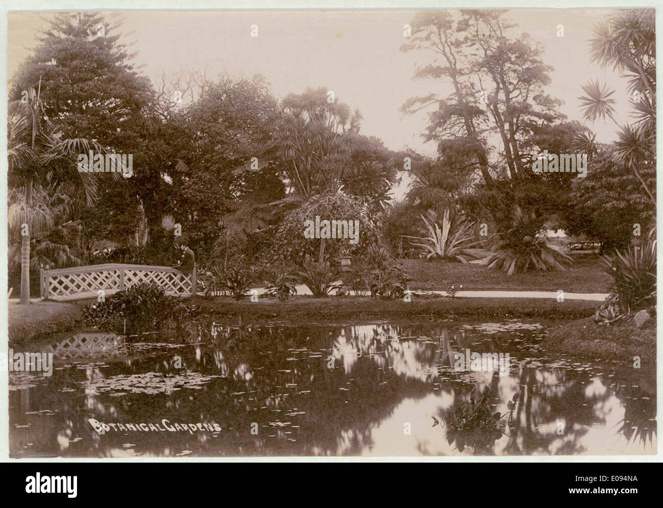 This image from the early 1900s shows the Botanical Gardens in Sydney ...