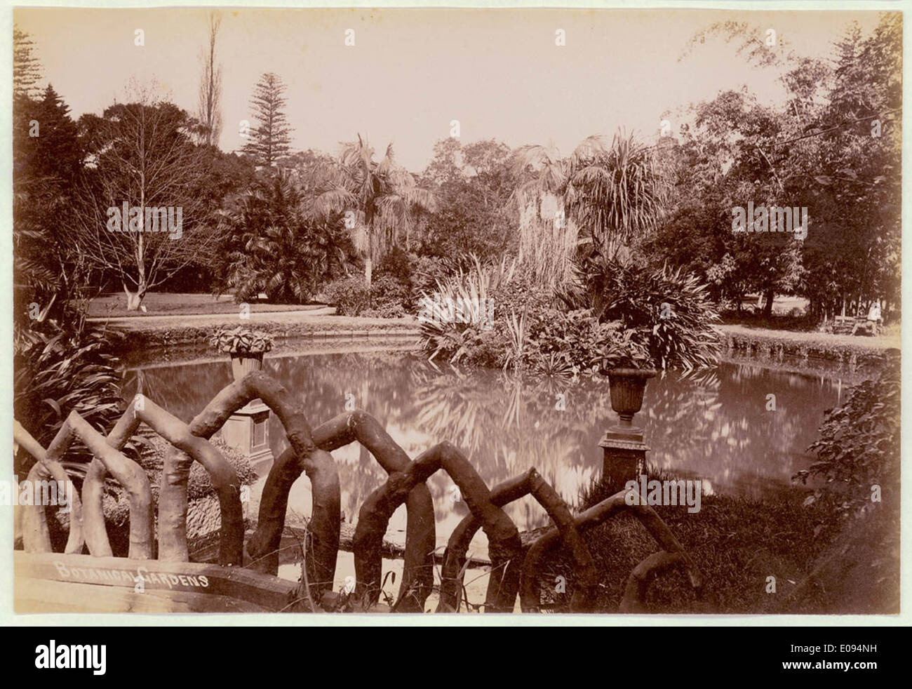 This photograph from 1900-1910 showcases the beauty of Sydney’s ...
