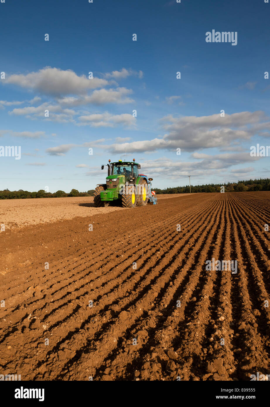 An agricultural tractor fitted with a seed drill, drilling/sowing seed ...