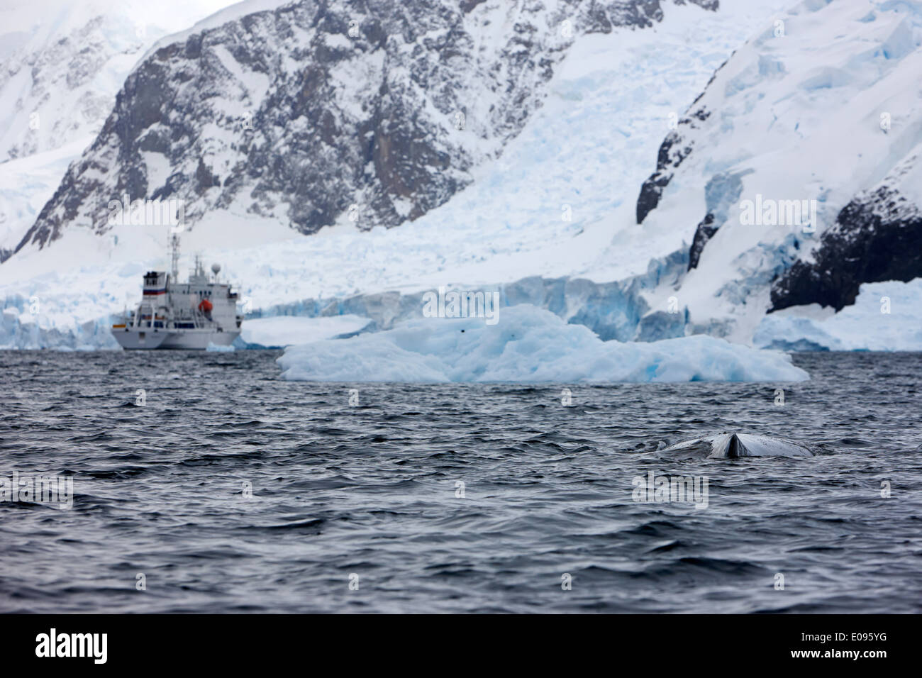 Logging boat hi-res stock photography and images - Alamy