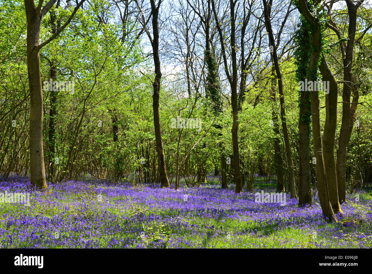 Ashington hi-res stock photography and images - Alamy
