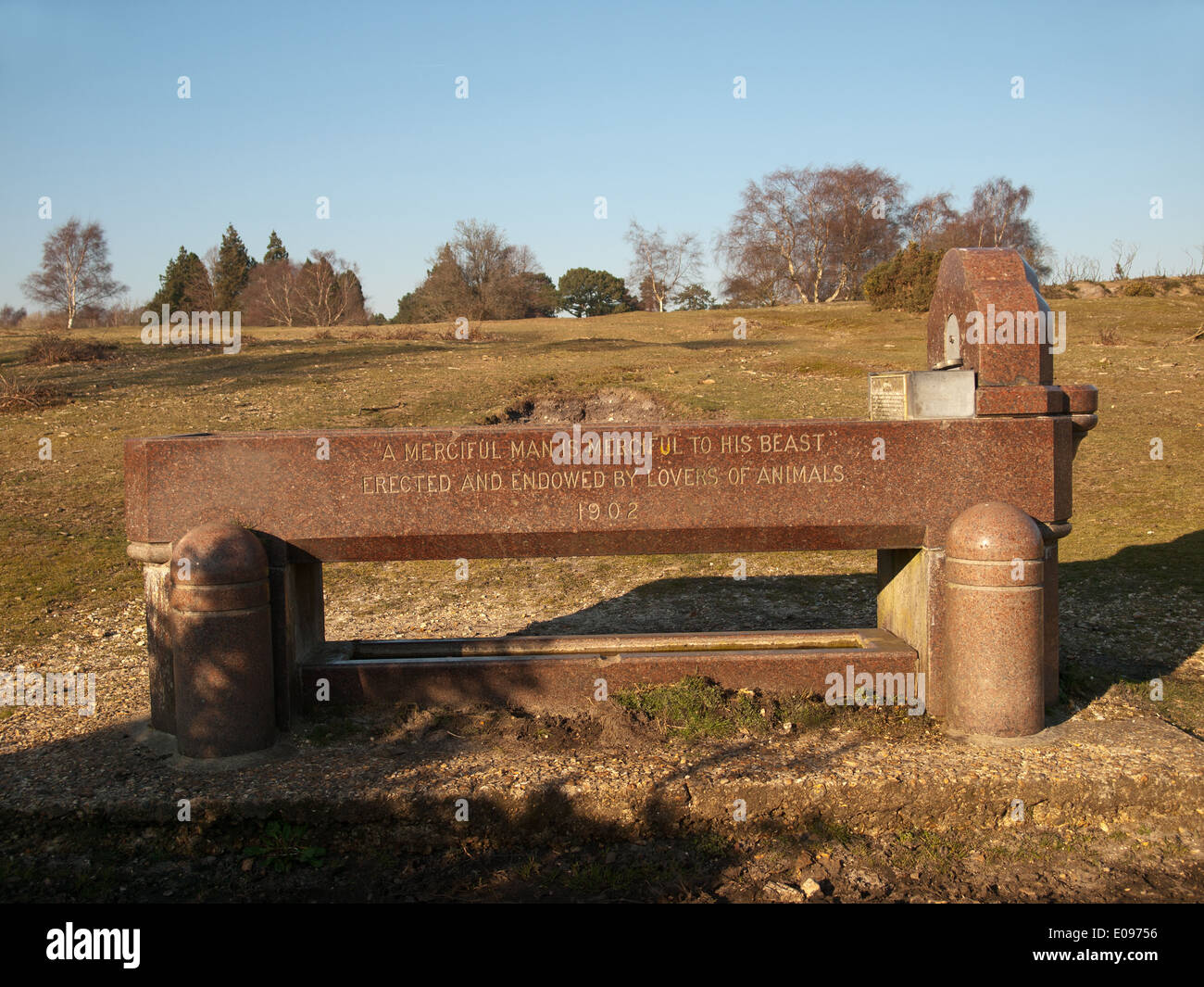 Lyndhurst new forest hi-res stock photography and images - Alamy