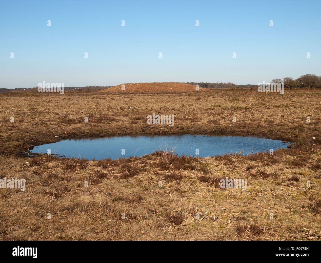 Bomb Crater Ww2 High Resolution Stock Photography and Images - Alamy