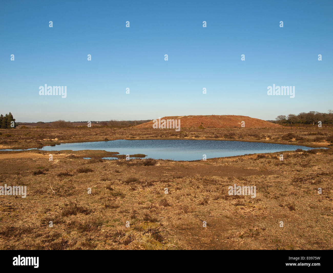 Ww2 bomb new forest hi-res stock photography and images - Alamy