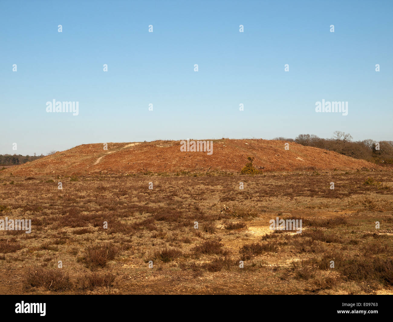 Ministry of Home Security Target or "submarine pens" WW2 structure at ...