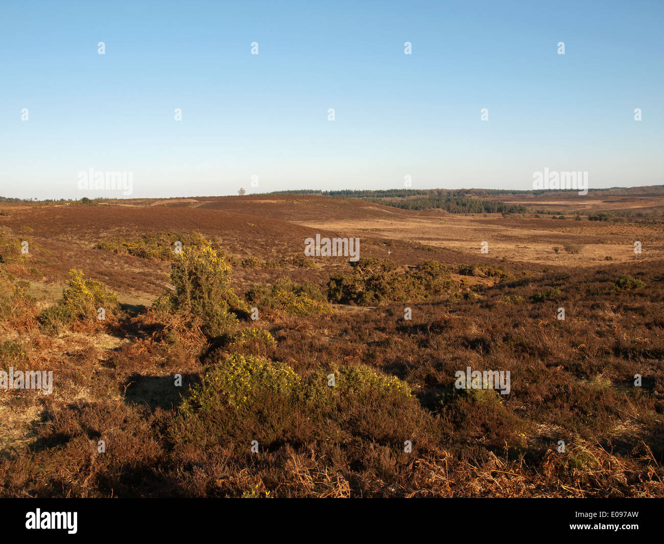 Ashley walk hampshire hi-res stock photography and images - Alamy