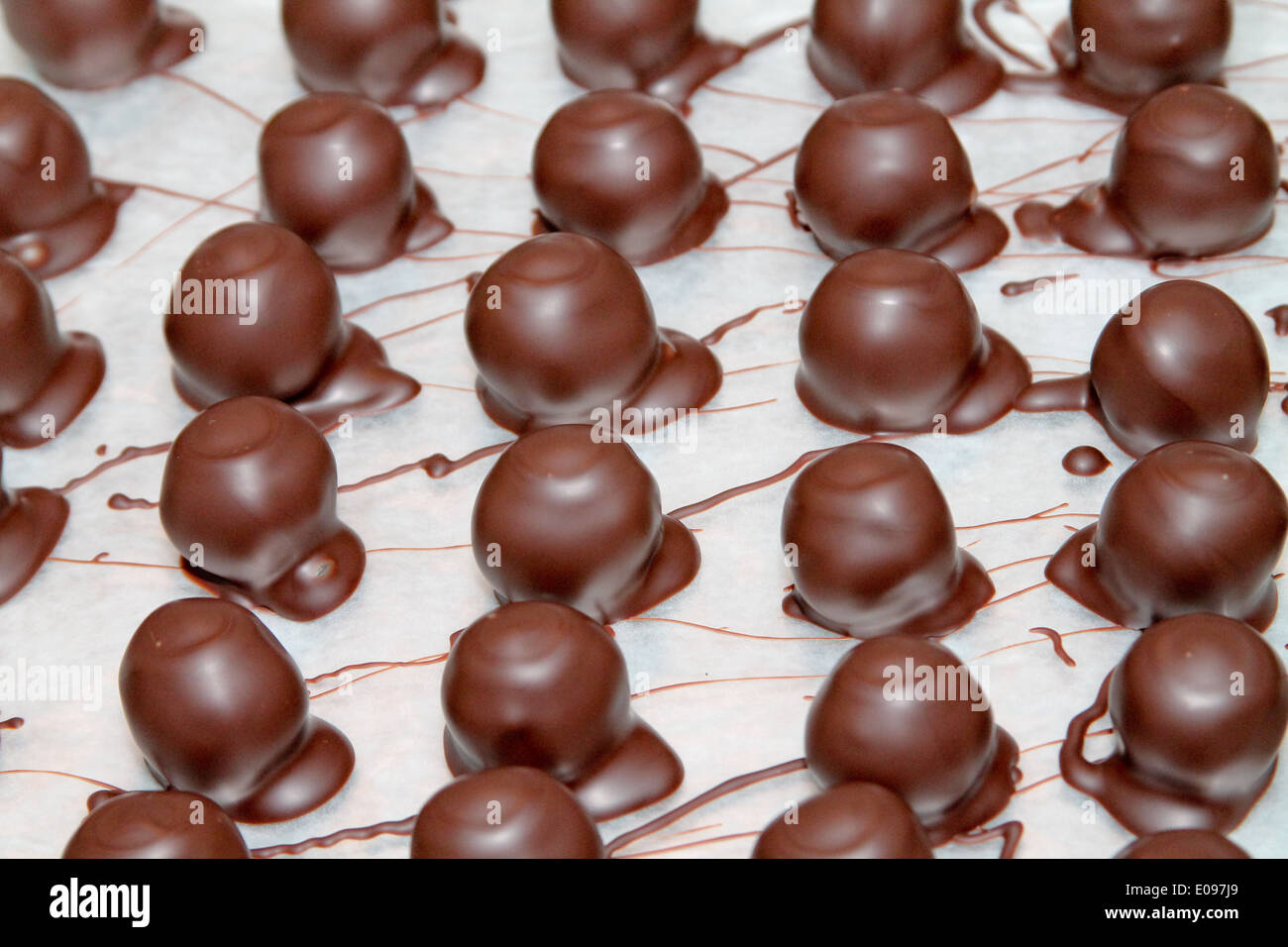 Hand Dipped Milk Chocolates Stock Photo - Alamy
