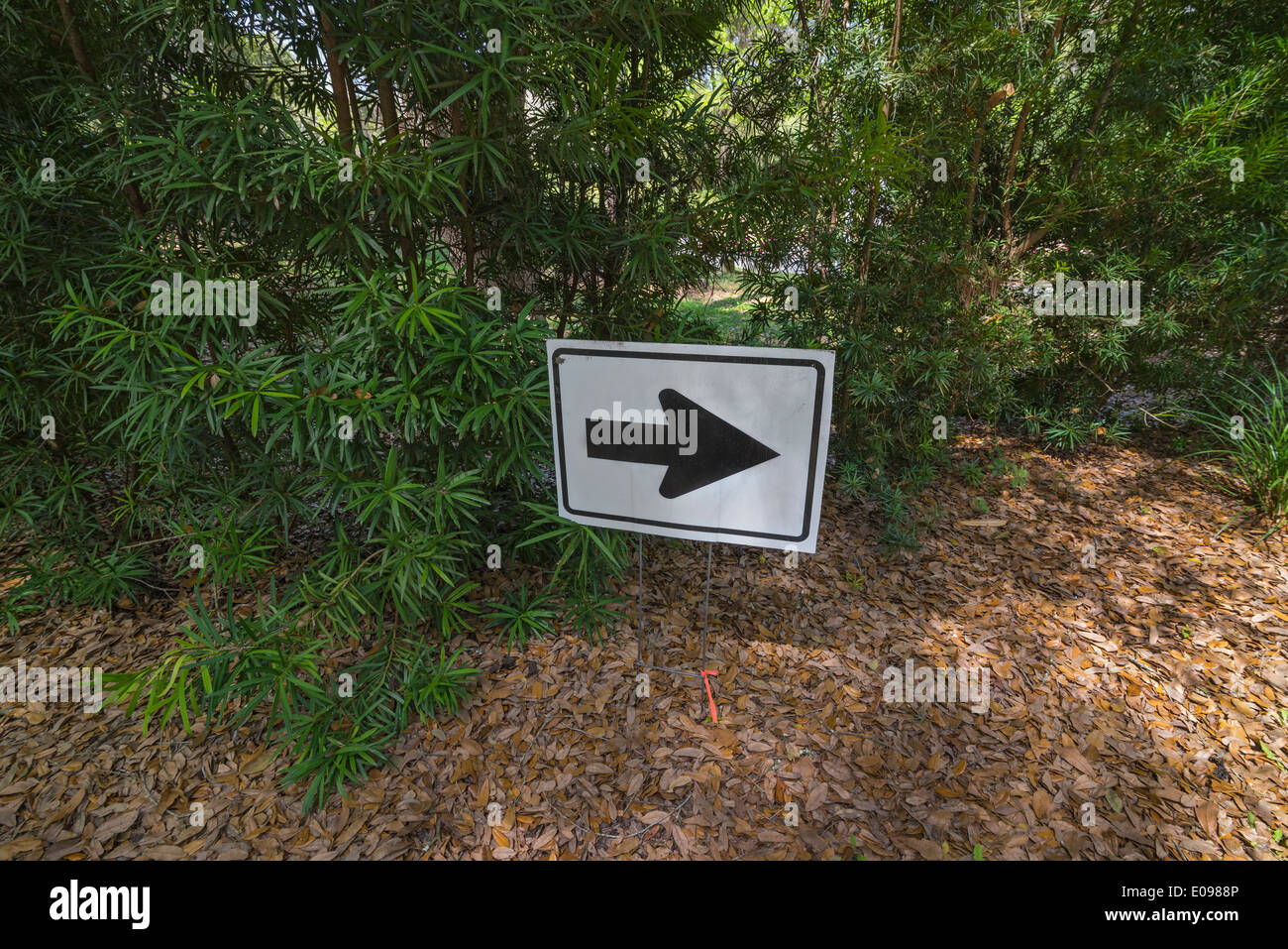 Direction points hi-res stock photography and images - Alamy
