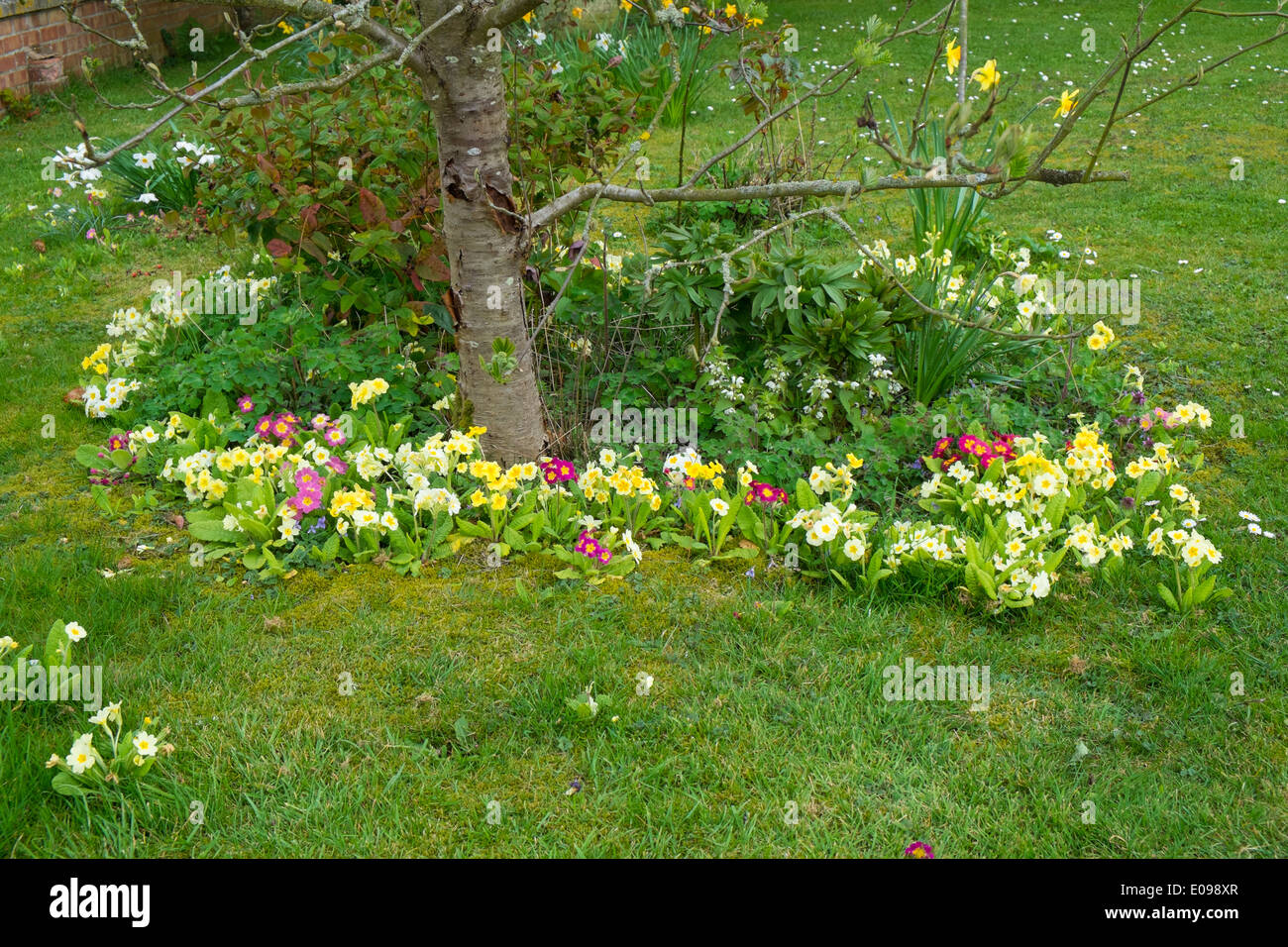 Planting of grass hi-res stock photography and images - Alamy