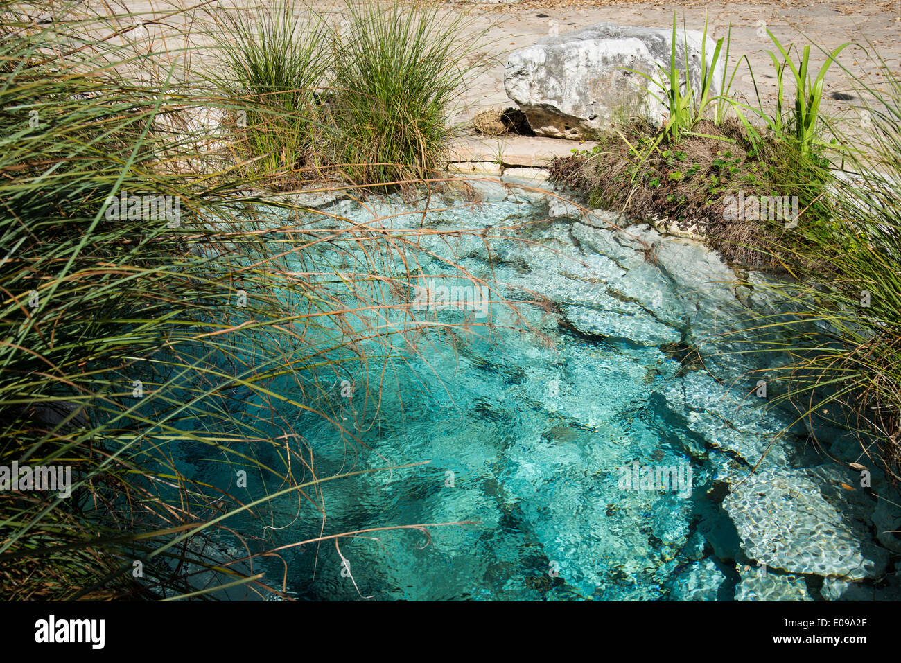 Blue water of a spring at the Lady Bird Johnson Wildflower Center ...
