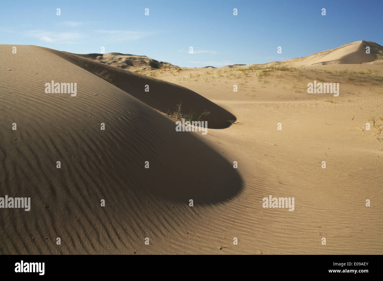 Sand dunes with ripples in the desert Stock Photo - Alamy