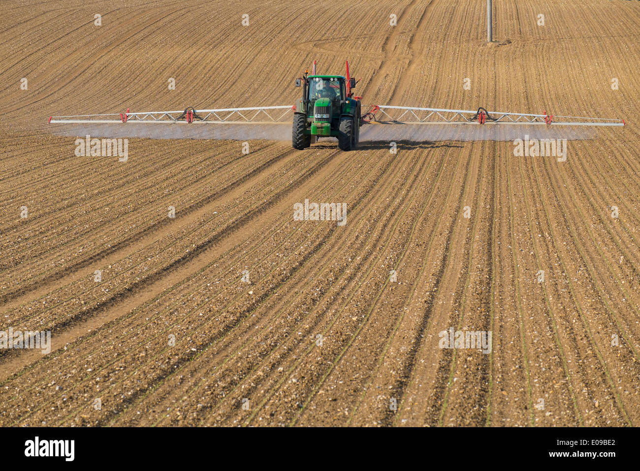 Weed pre emergence spraying on sugarbeet Stock Photo - Alamy