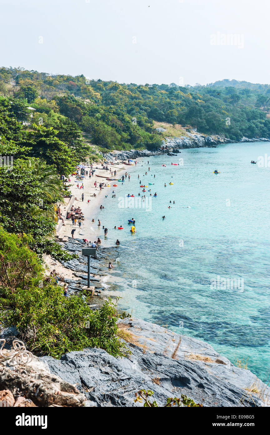 Beach mix summer forest clean sea stone Stock Photo - Alamy