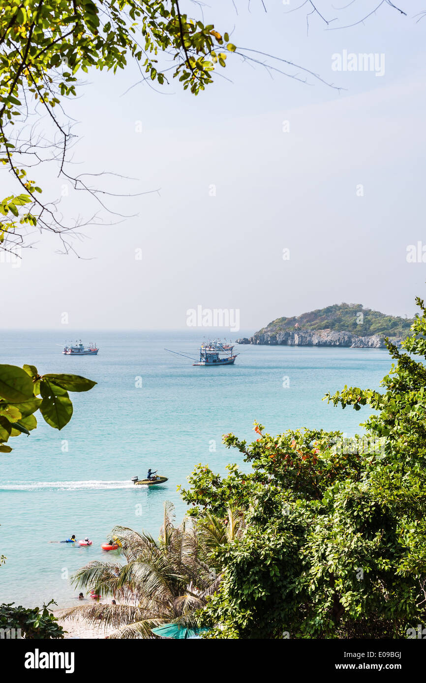 Beach mix summer forest clean sea stone Stock Photo - Alamy