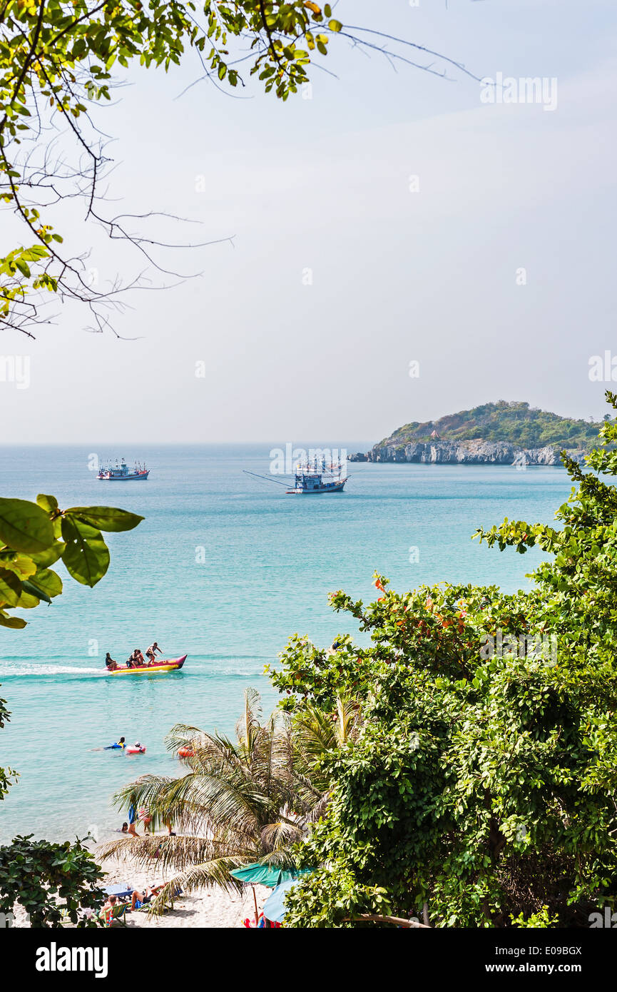 Beach mix summer forest clean sea stone Stock Photo - Alamy