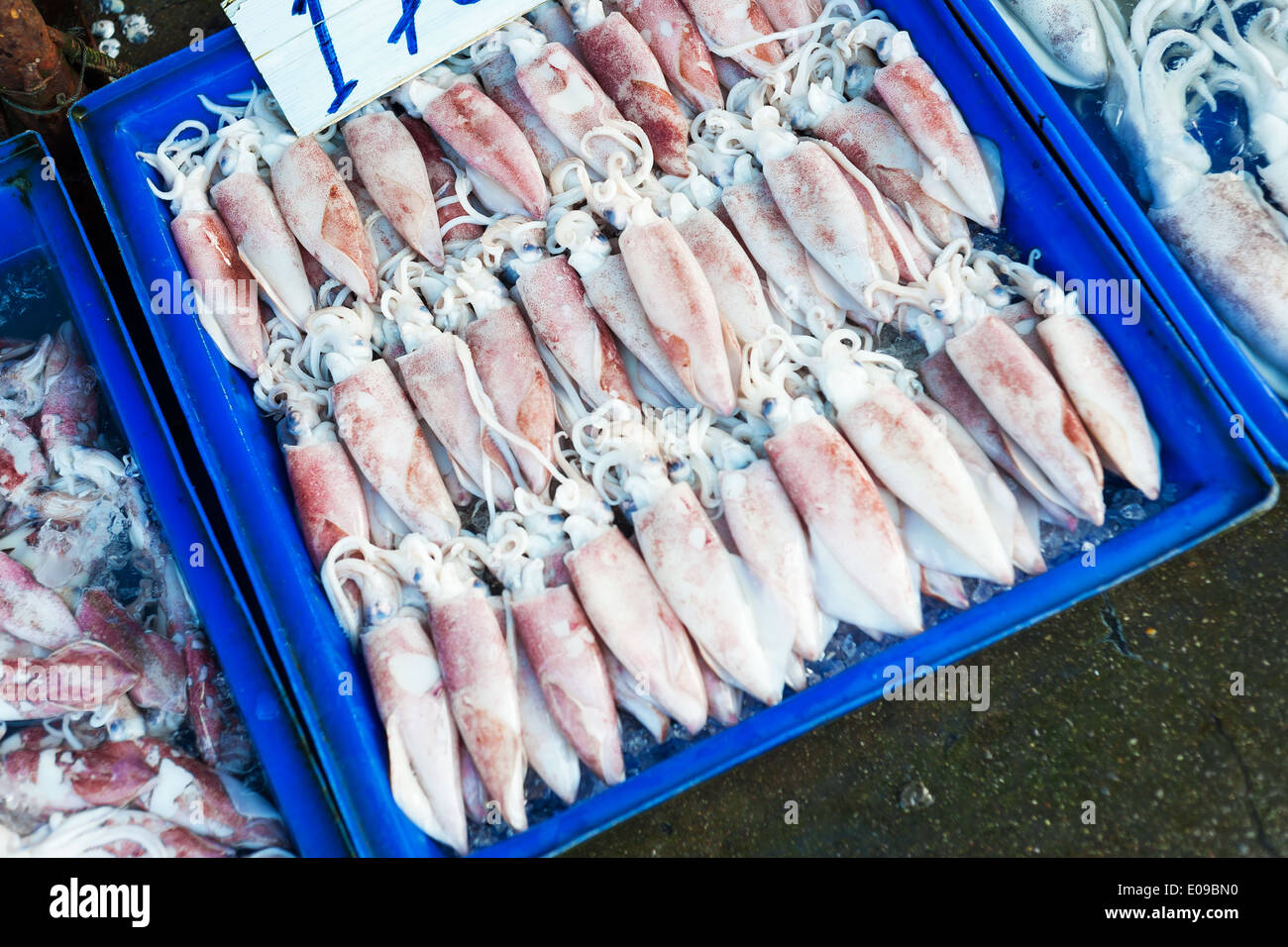 Fresh squid in market place Stock Photo - Alamy