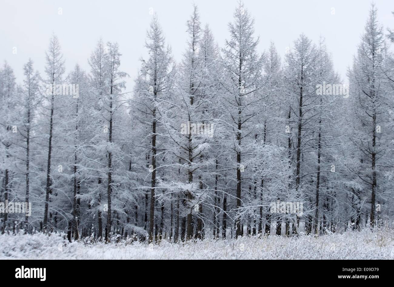 Chifeng scenery hi-res stock photography and images - Alamy