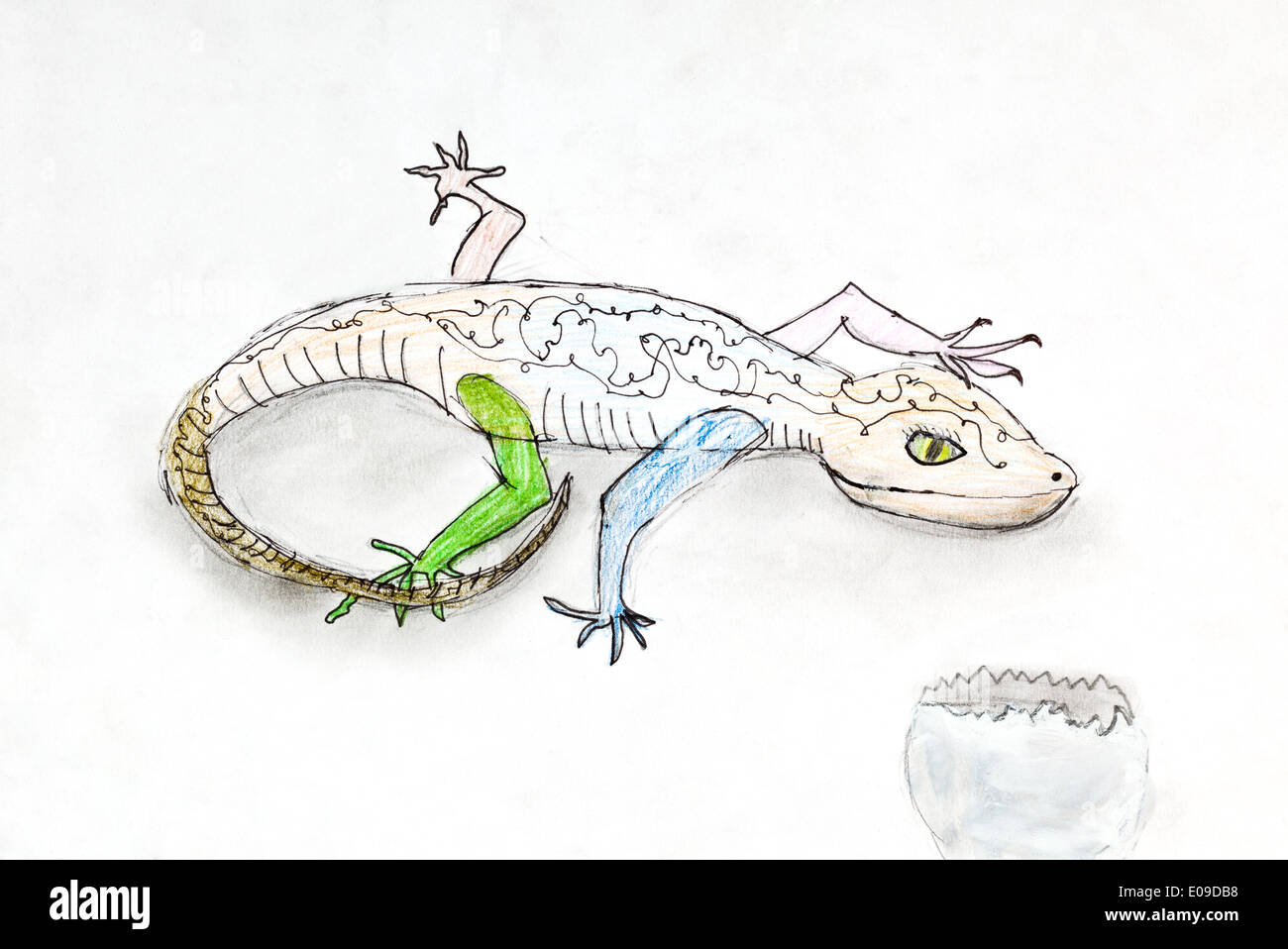 children drawing - Lizard and egg shell on white paper Stock Photo - Alamy