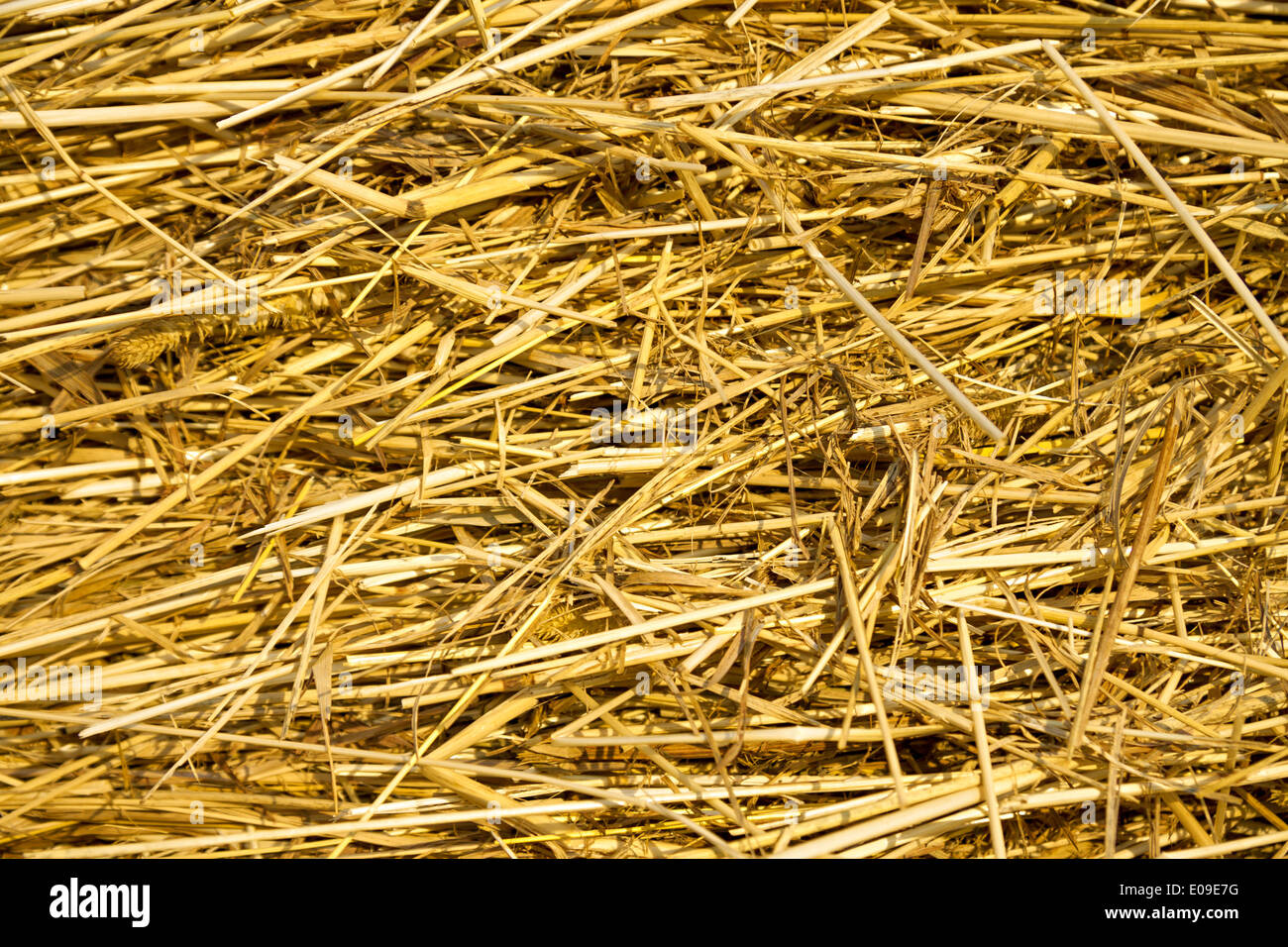 abstract background from texture of straw Stock Photo - Alamy