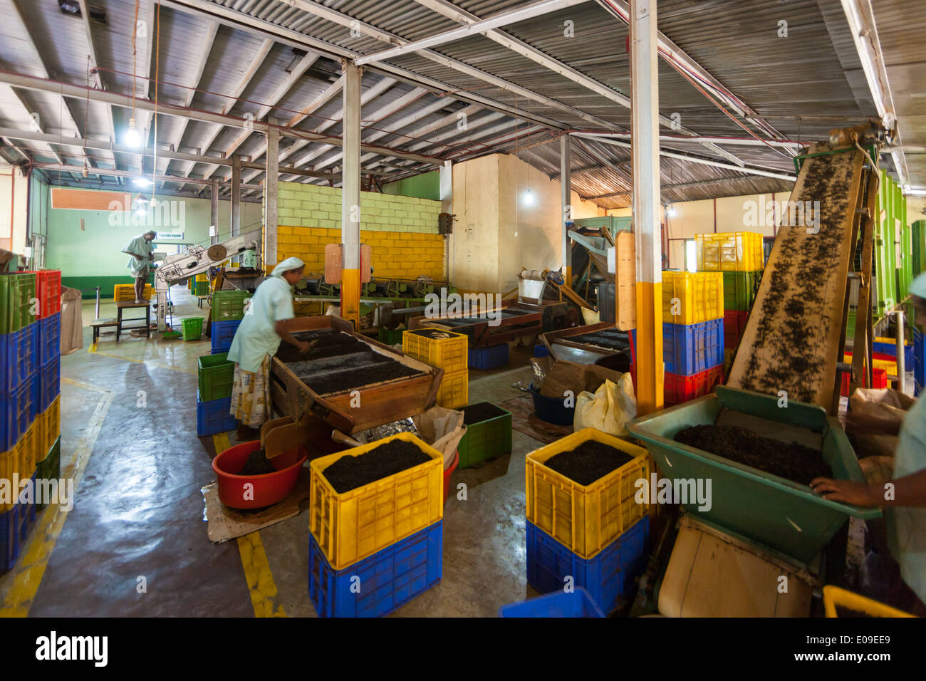 Tea box sri lanka hi-res stock photography and images - Alamy