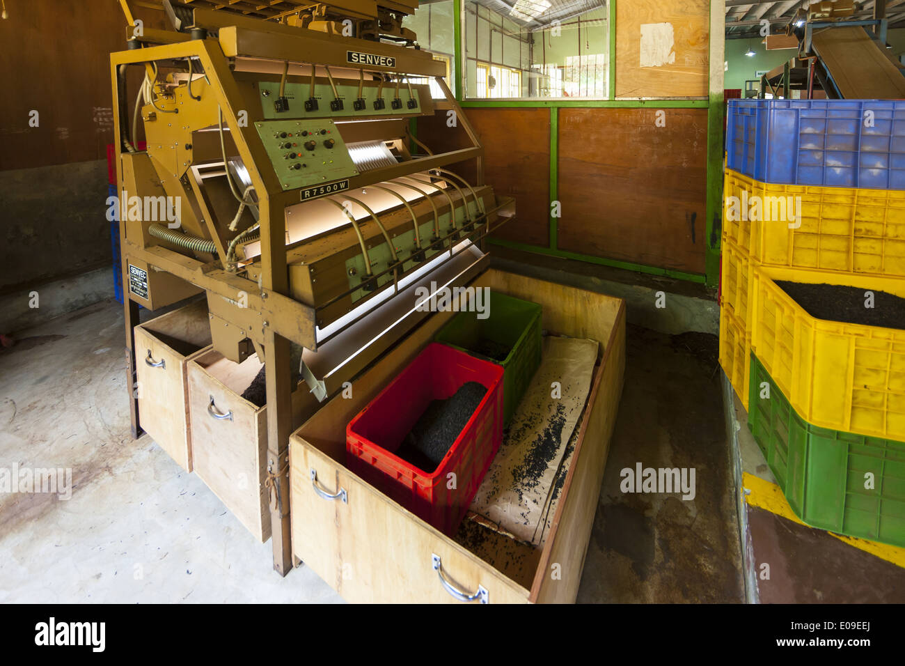 Tea sorting machine hi-res stock photography and images - Alamy