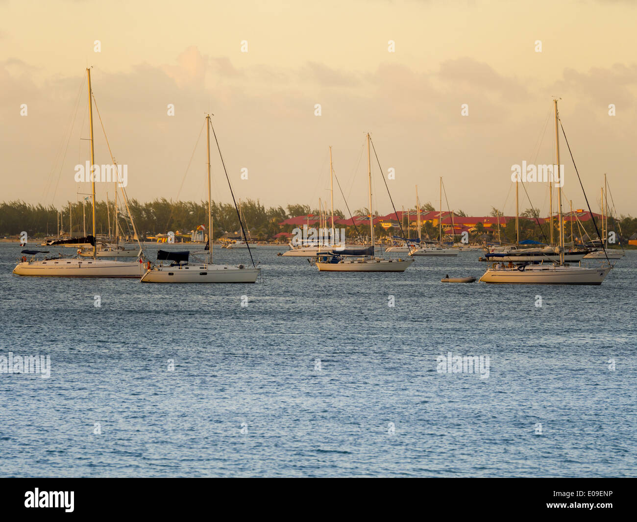 Caribbean, Lesser Antilles, Saint Lucia, Rodney Bay, sailing yachts in ...