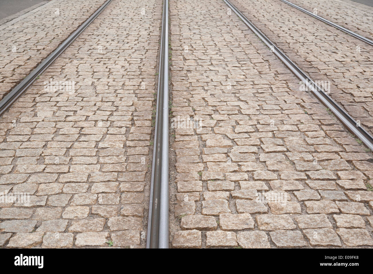 Tram Tracks, Dresden, Germany, Europe Stock Photo - Alamy