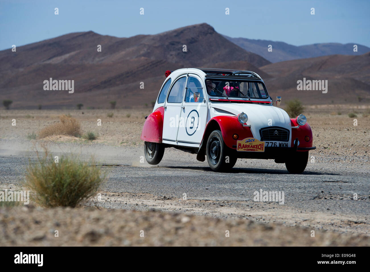 Citroen 2CVs take part in the Marrakech Express rally, a ten day rally ...