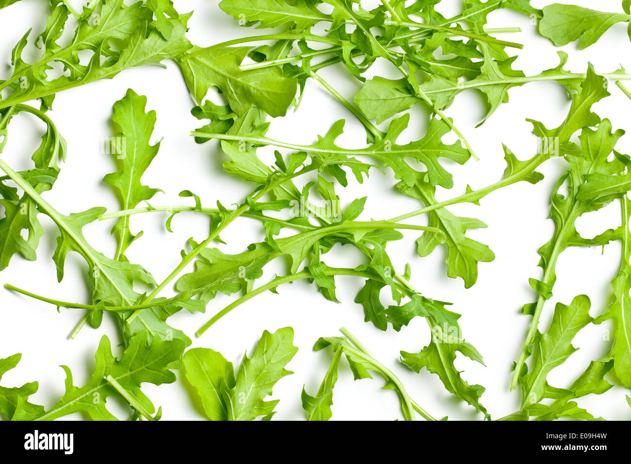 top view of arugula leaves on white background Stock Photo - Alamy
