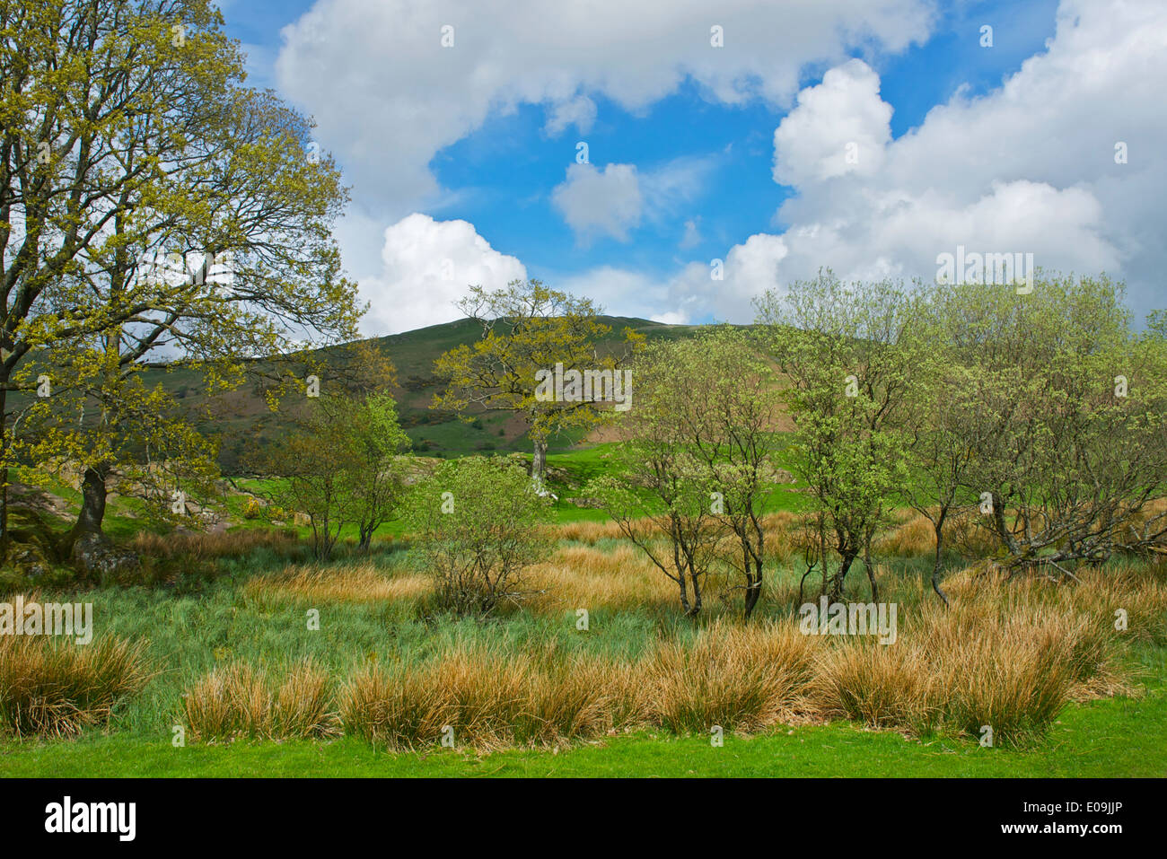Kentmere, Lake District National Park, Cumbria, England UK Stock Photo ...