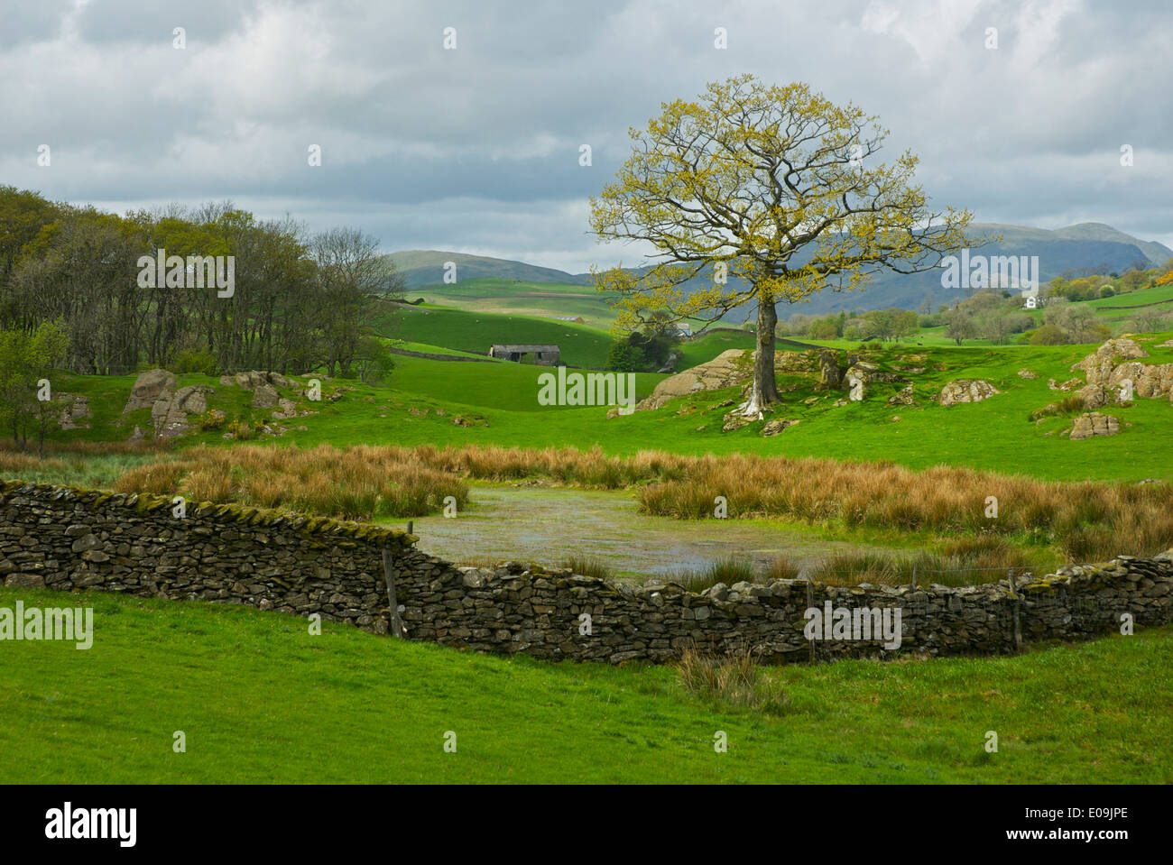 Kentmere, Lake District National Park, Cumbria, England UK Stock Photo ...