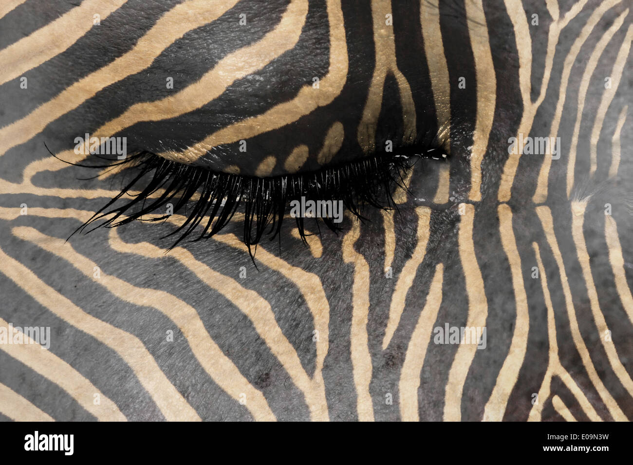 Women eye close-up concept of sadness zebra pattern Stock Photo - Alamy