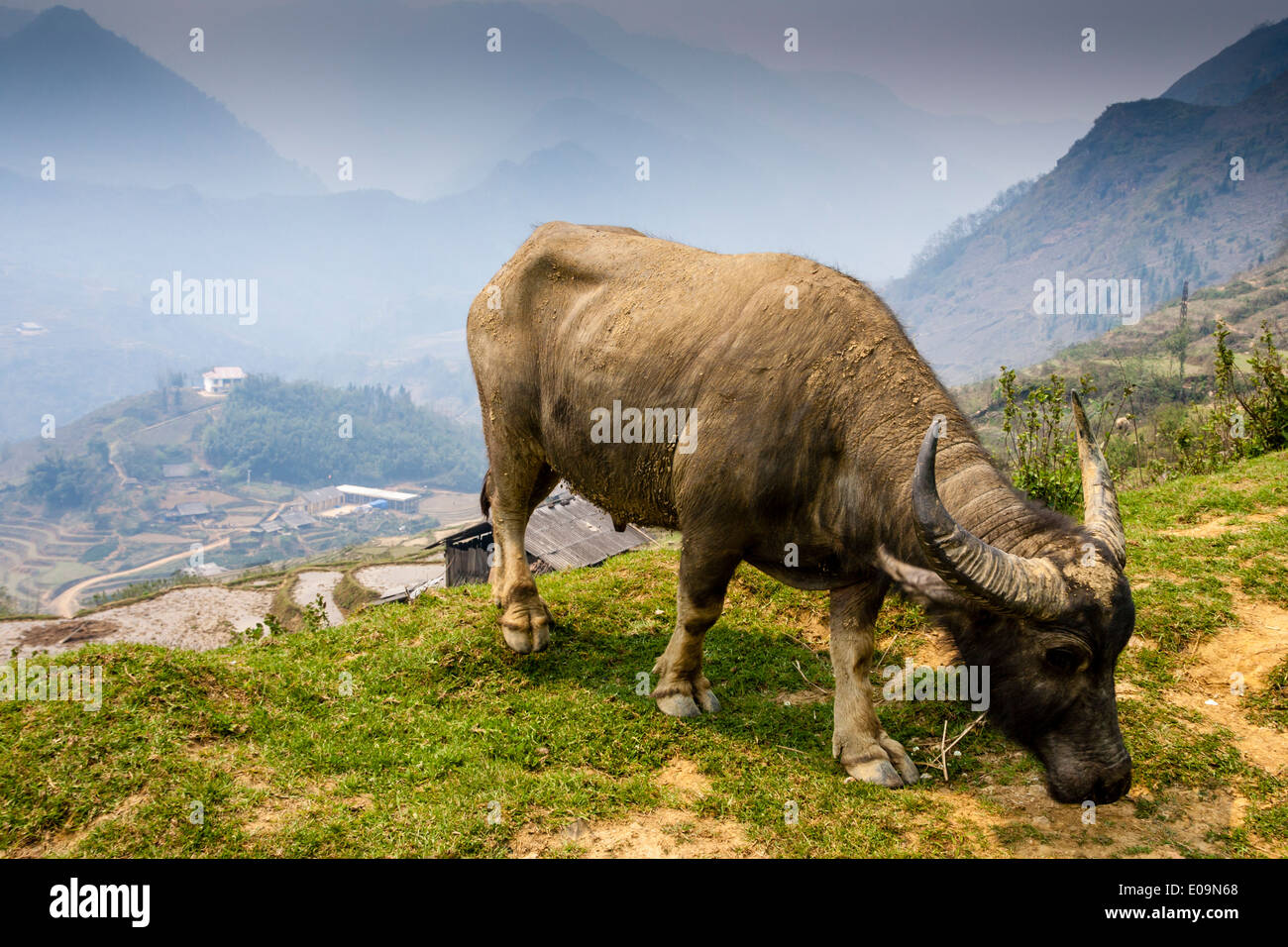 The Scenery Around Sa Pa, Lao Cai Province, Vietnam Stock Photo - Alamy