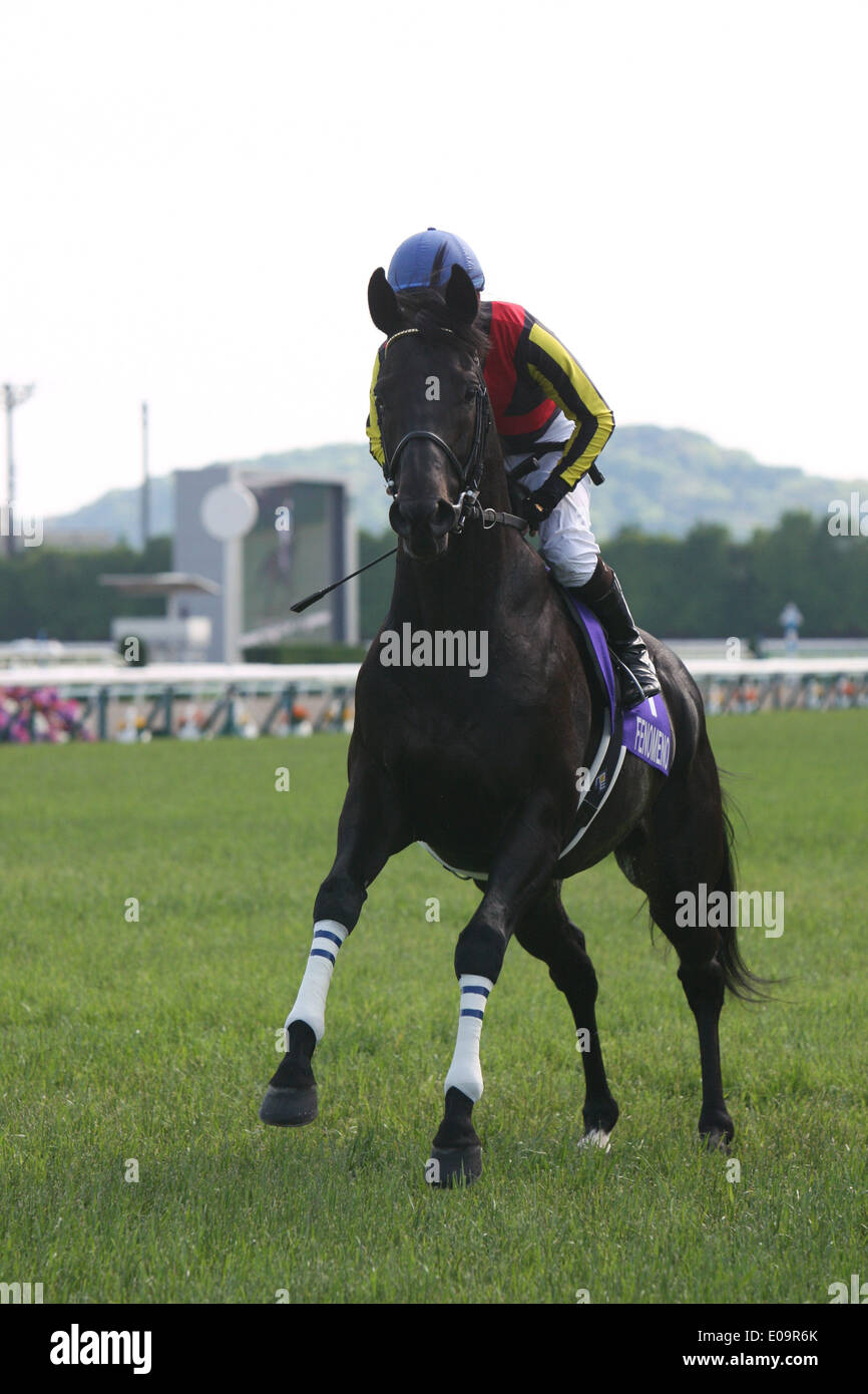 Kyoto, Japan. 4th May, 2014. Fenomeno (Masayoshi Ebina) Horse Racing ...