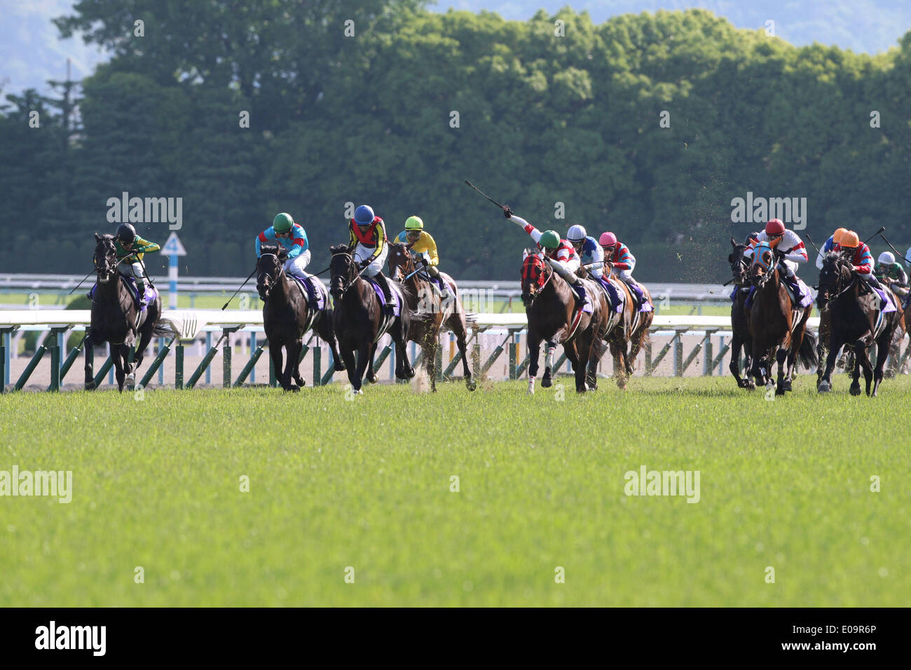 Horse racecourse kyoto hi-res stock photography and images - Alamy