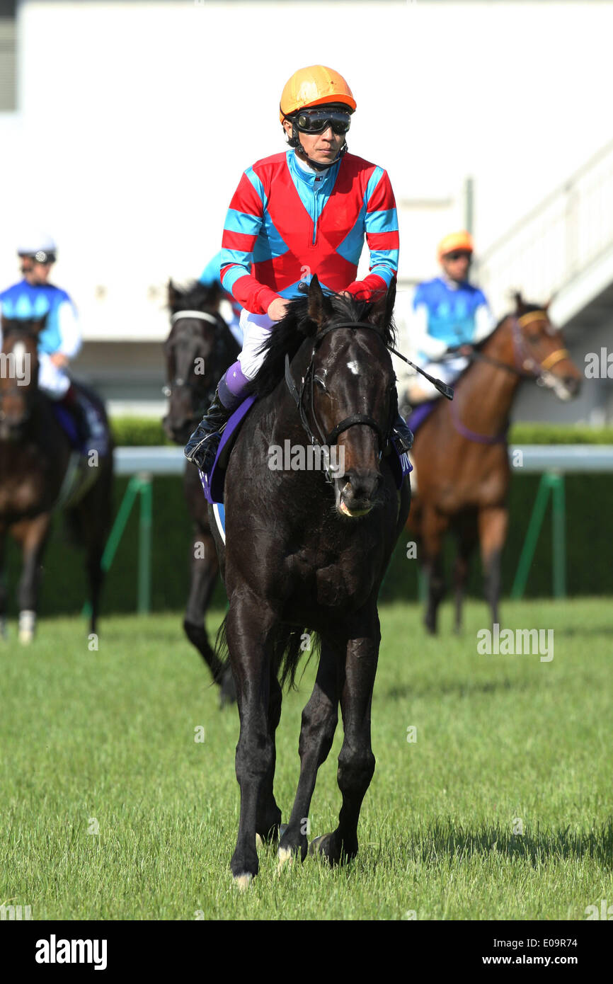 Kyoto racecourse hi-res stock photography and images - Alamy