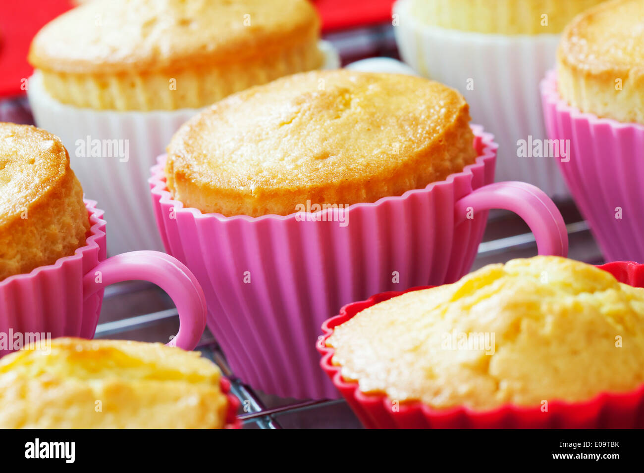 Baking dishes formed like cups with baked cupcakes on cooling grid ...